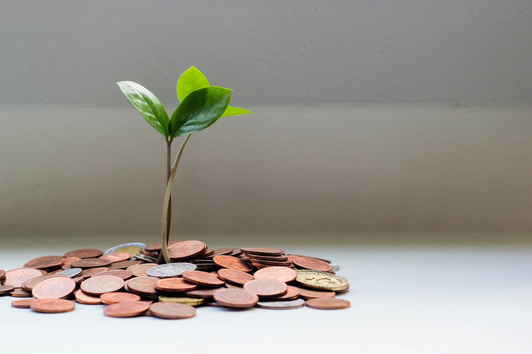 How to Avoid These Common Salary Negotiation Mistakes | Ama La Vida